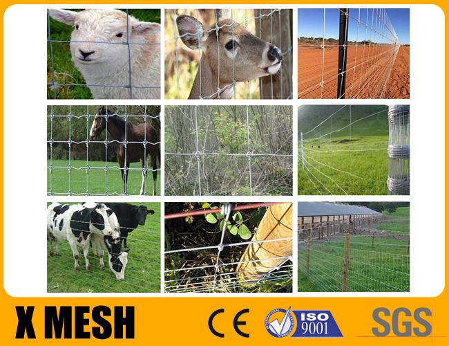 Wire 2.5mm Woven Sheep Netting 100m 550N/Mm2 Hot Dip Galvanized