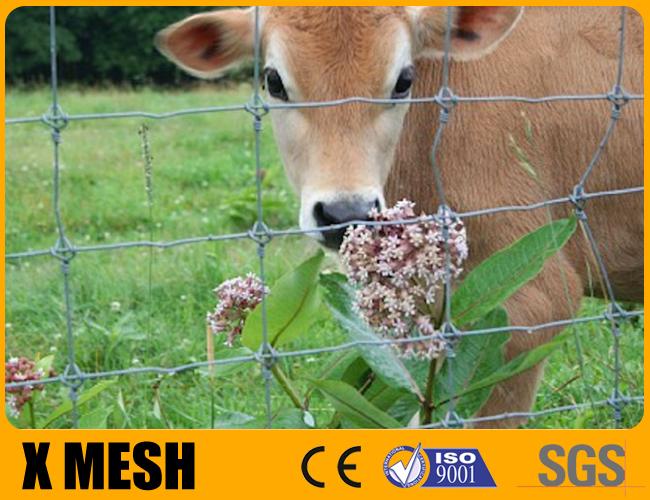 ASTM A121 15cm Hinge Joint Fencing Wire Mesh Hot Dipped Galvanized